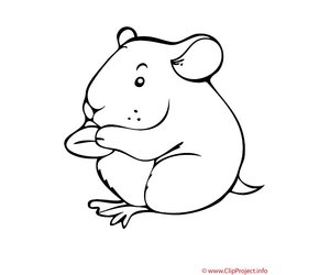 Frozen hamster - Magazoo, the Universe of Reptiles