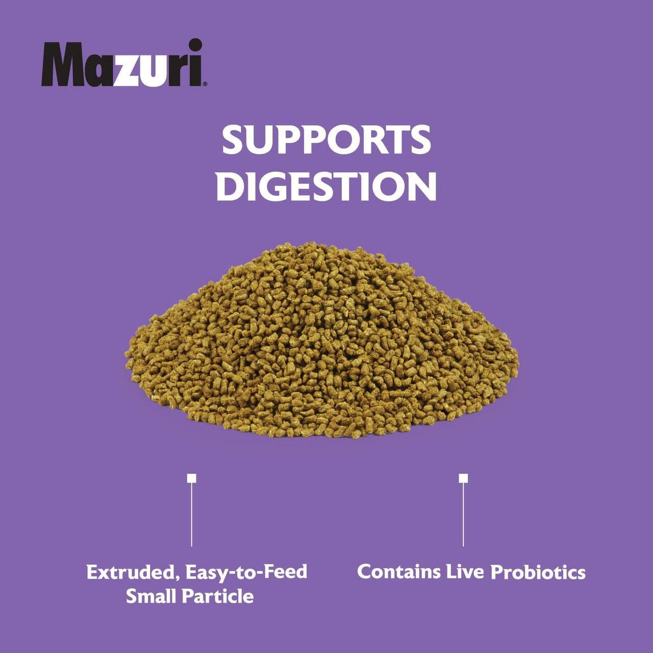 Mazuri Herbivorous Reptile Diet - Magazoo, l'Univers des Reptiles