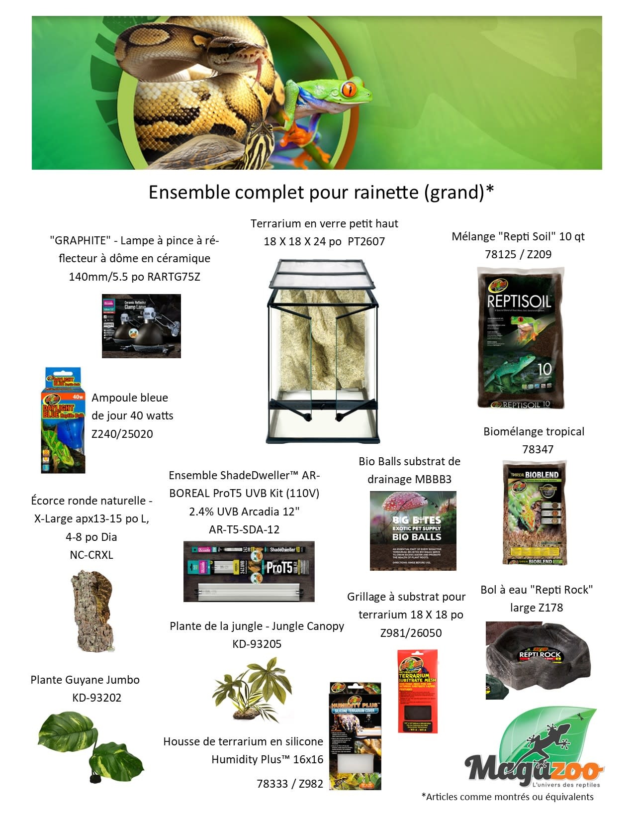 Complete kit for Tree Frog (Large) - Magazoo, the Universe of Reptiles