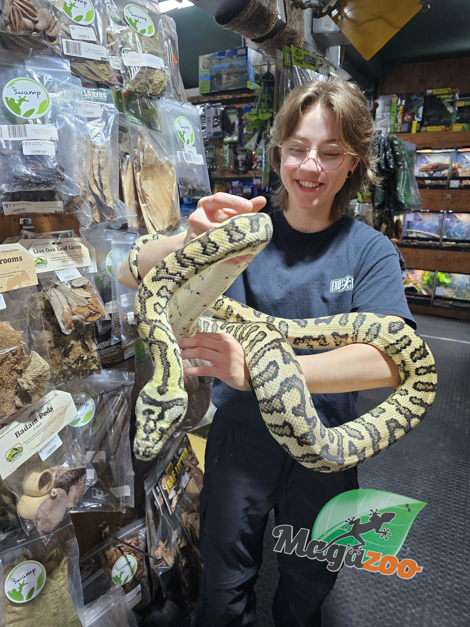 Python tapis 'Coastal' Jaguar Mâle 5 ans / Adoption 2ième chance ...