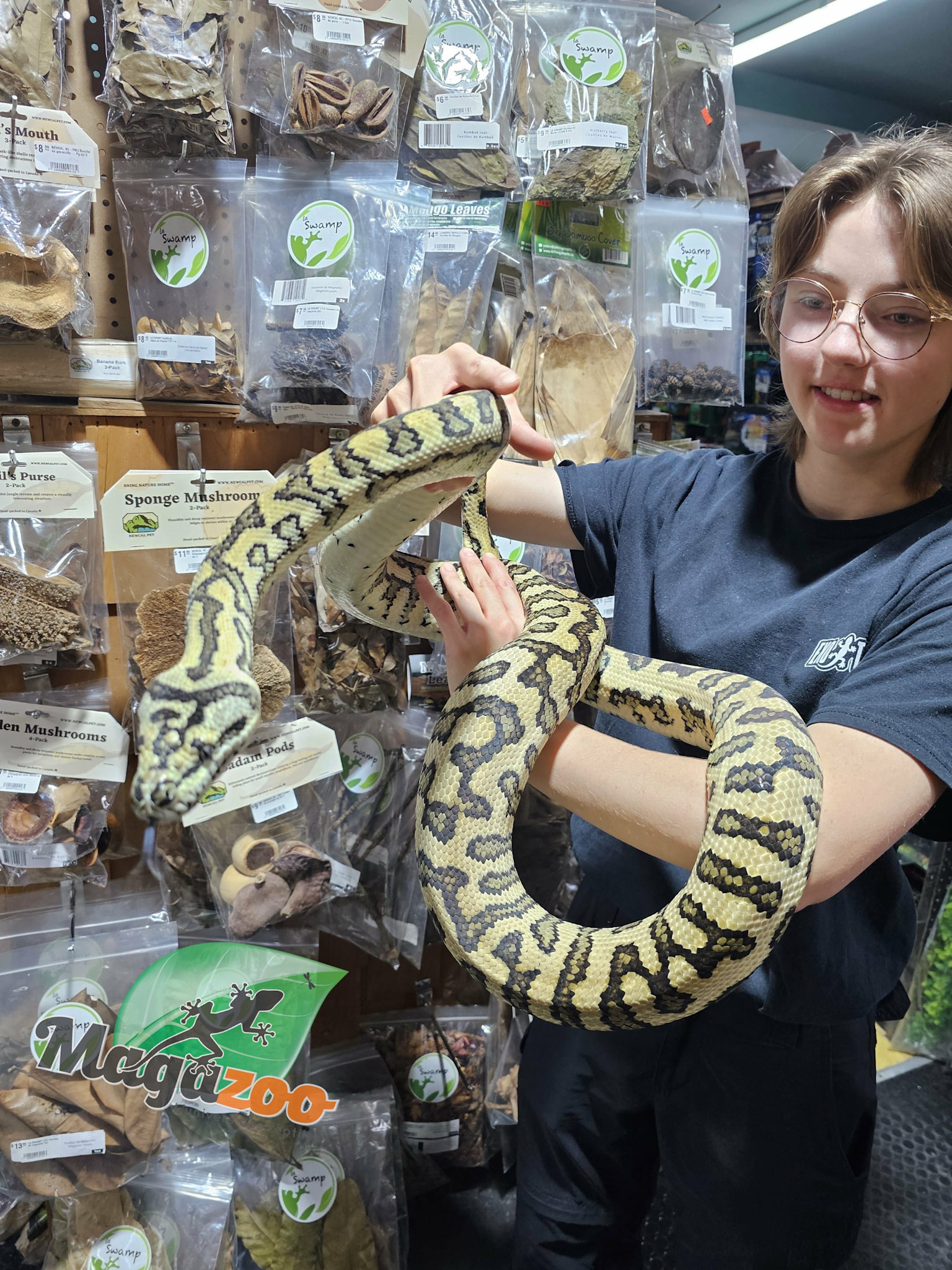 Python tapis 'Coastal' Jaguar Mâle 5 ans / Adoption 2ième chance ...