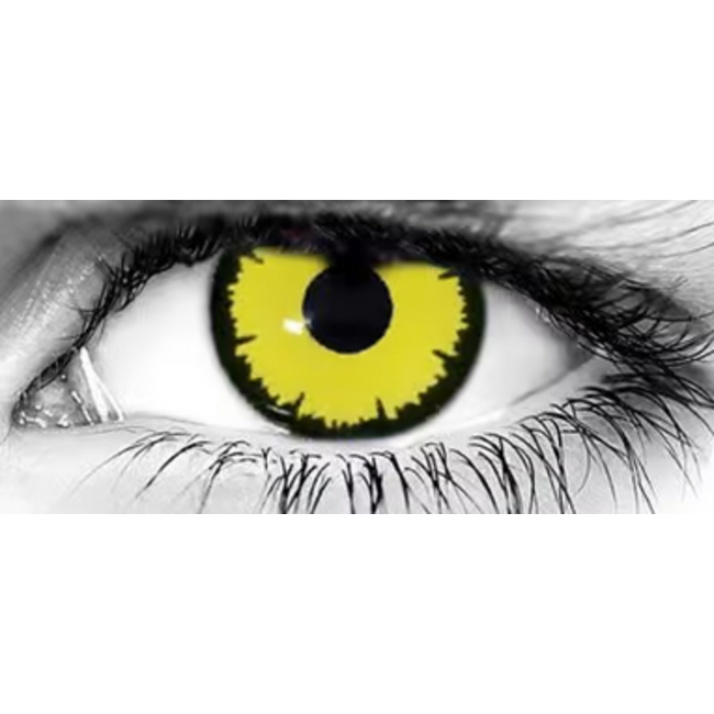 Yellow Wolf Eye Contacts