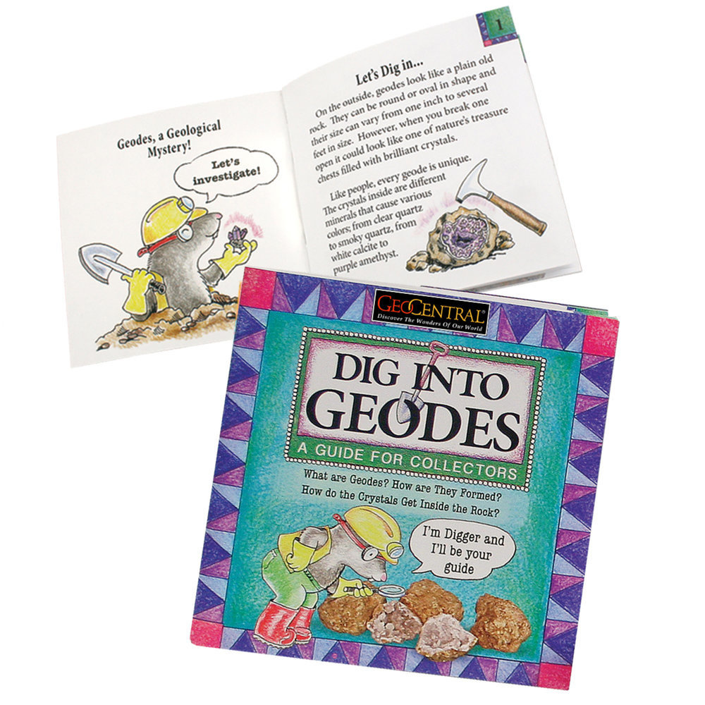 DIG INTO GEODES BOOK - THE TOY STORE