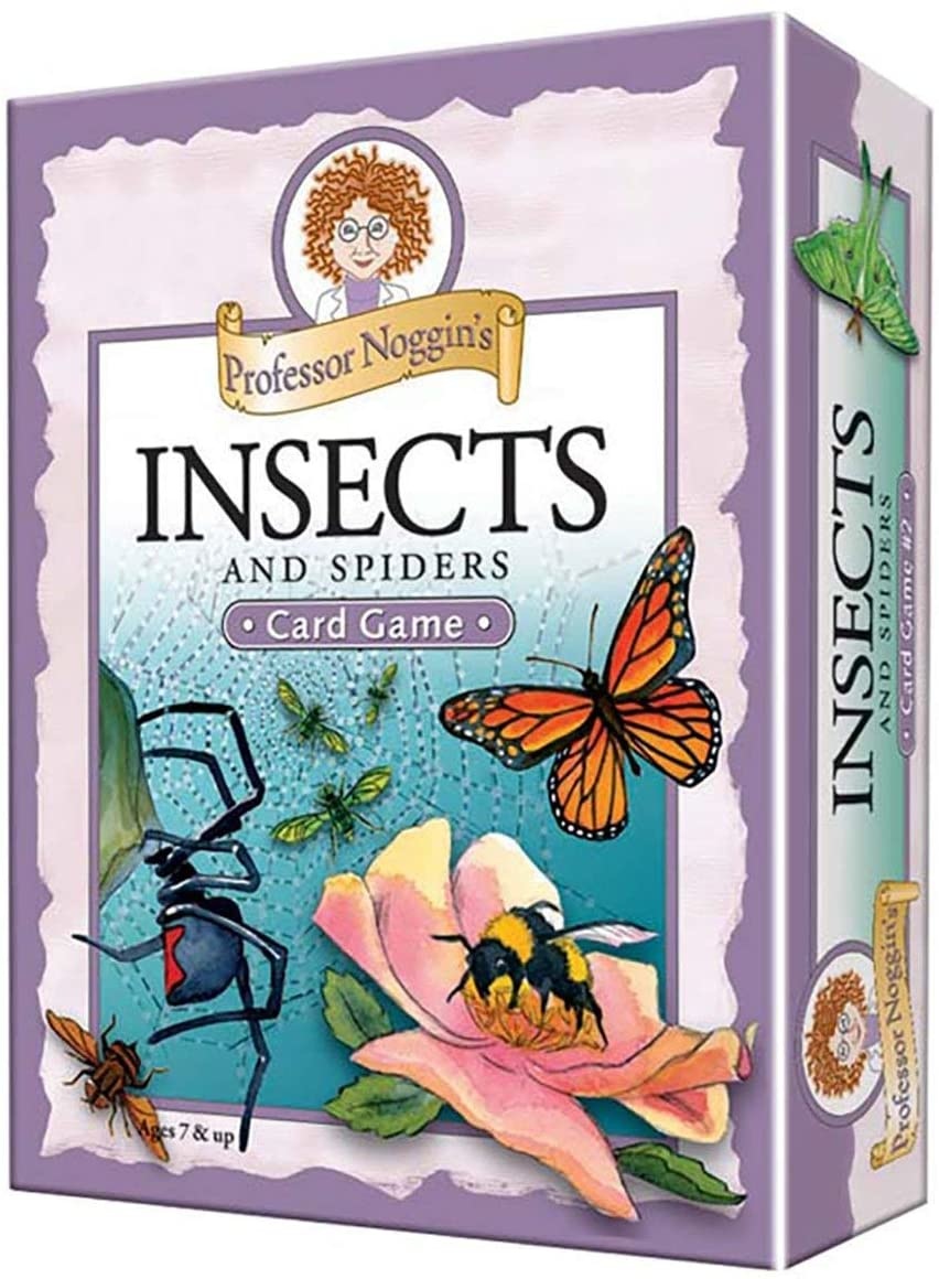 PROFESSOR NOGGIN'S INSECTS AND SPIDERS - THE TOY STORE