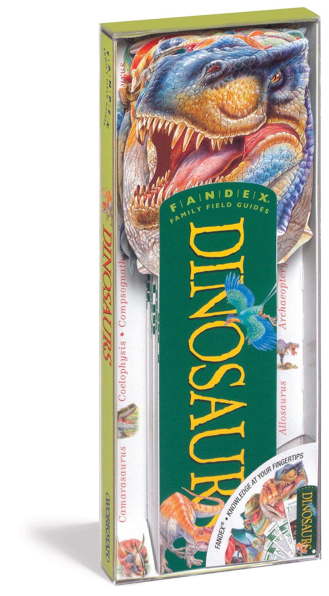 DINOSAURS FANDEX - THE TOY STORE