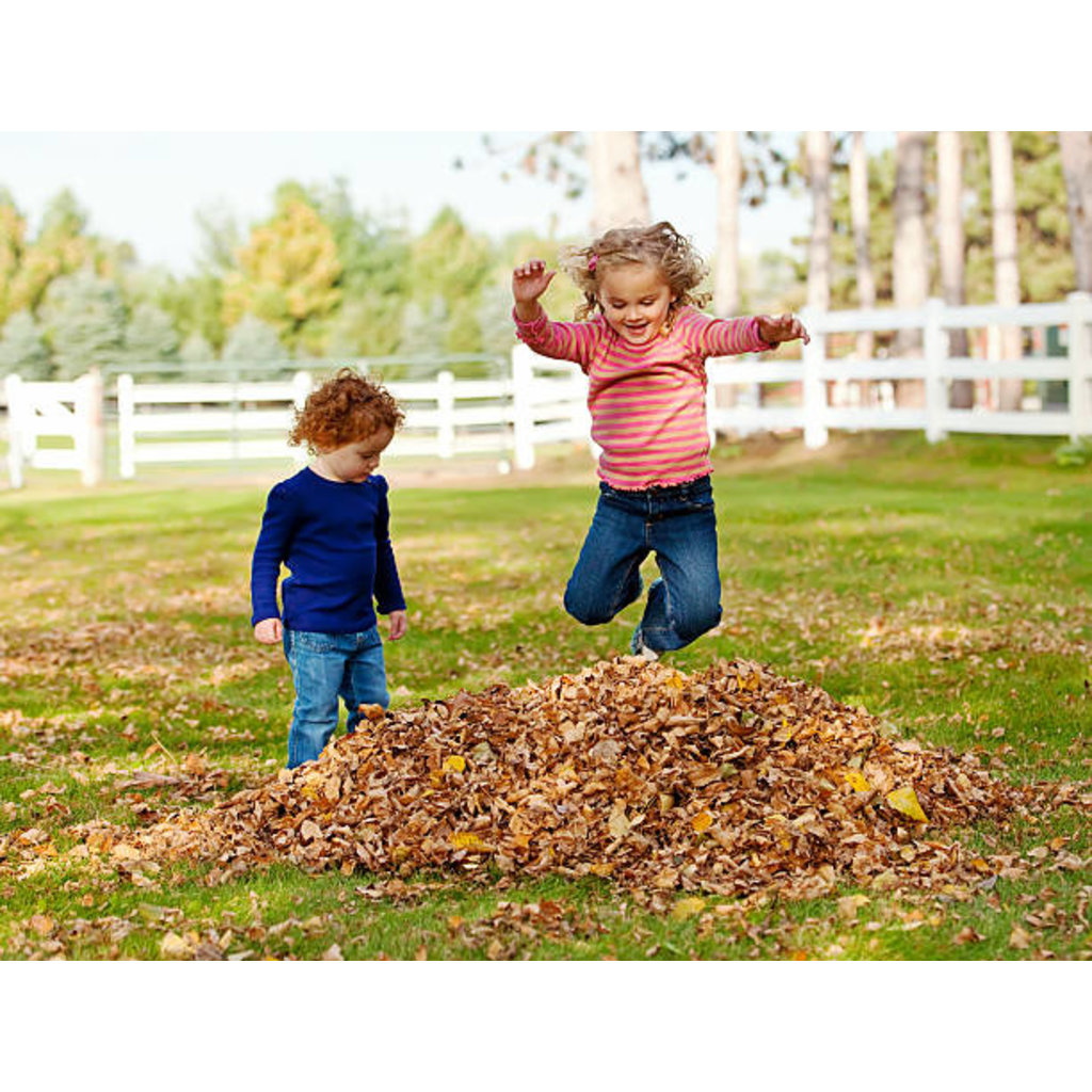 KIDS LEAF RAKE - THE TOY STORE