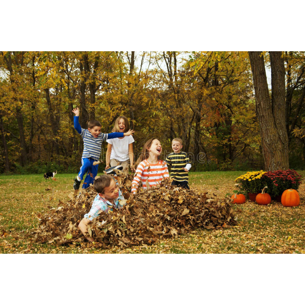 KIDS LEAF RAKE - THE TOY STORE