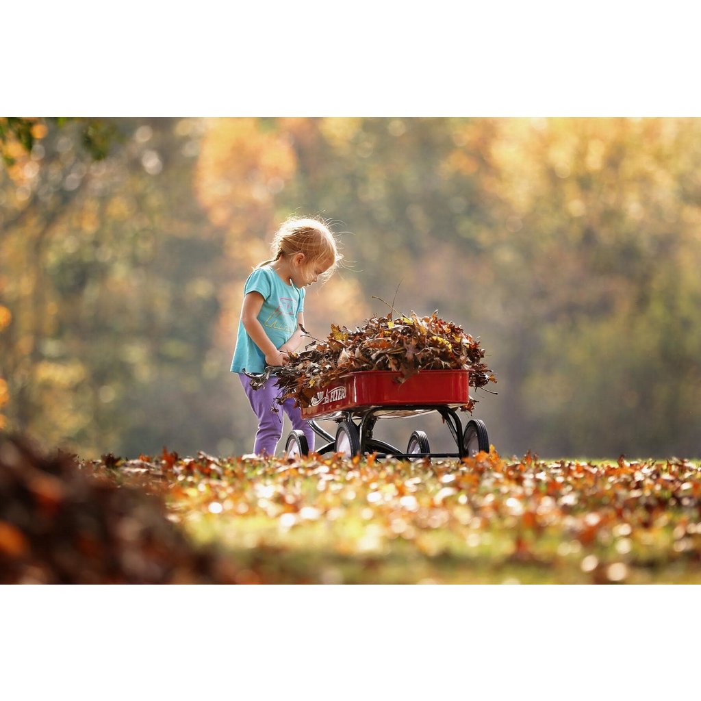 KIDS LEAF RAKE - THE TOY STORE