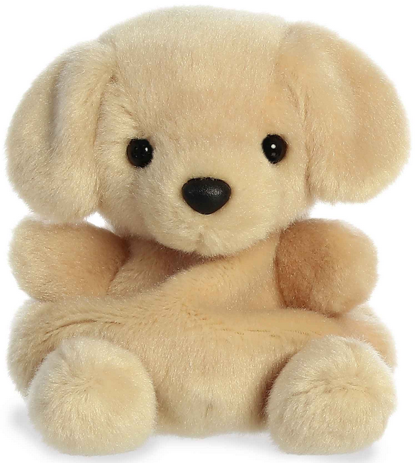 SUNNY LAB - THE TOY STORE