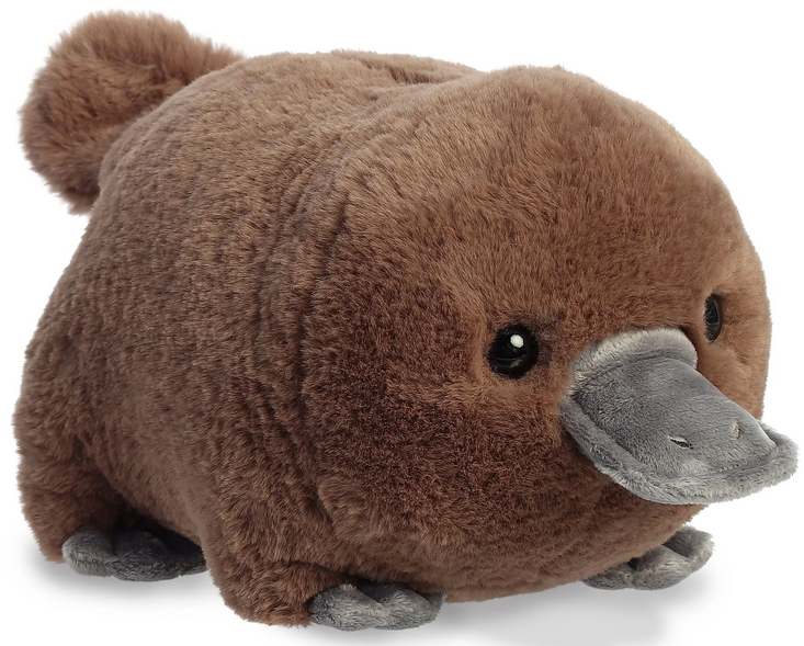 PONGO PLATYPUS SPUDSTER - THE TOY STORE