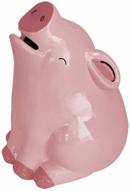 GREEDY PIG MONEY BANK - THE TOY STORE