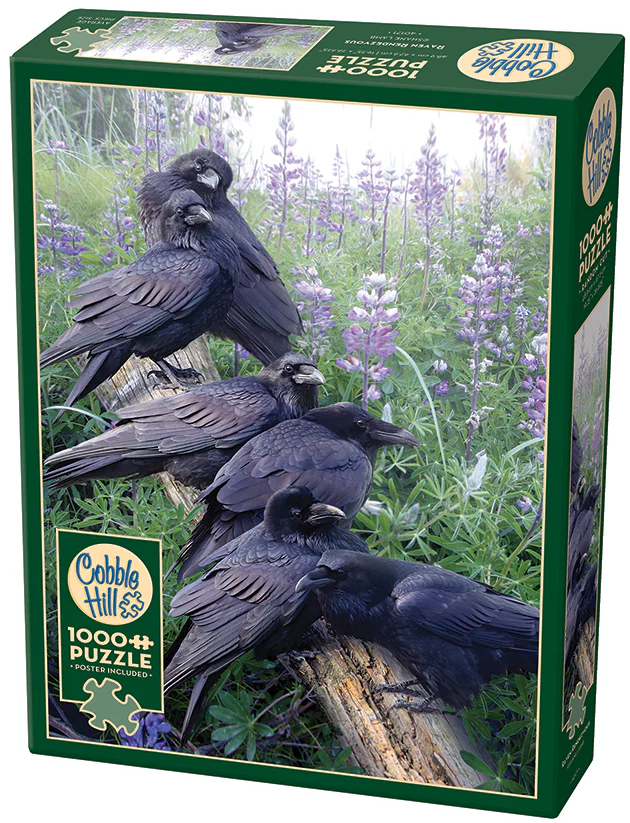 RAVEN RENDEZVOUS 1000 PC PUZZLE - THE TOY STORE