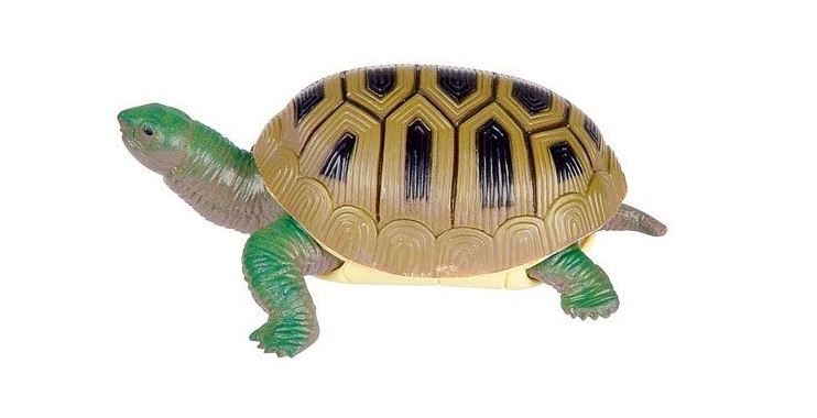 TURTLE SQUISHIMALS - THE TOY STORE