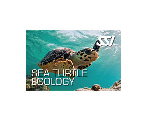 SSI Sea Turtle Ecology Digital Kit - Force-E Scuba Centers