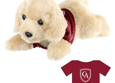 VIKING CORNER - VIKING CORNER