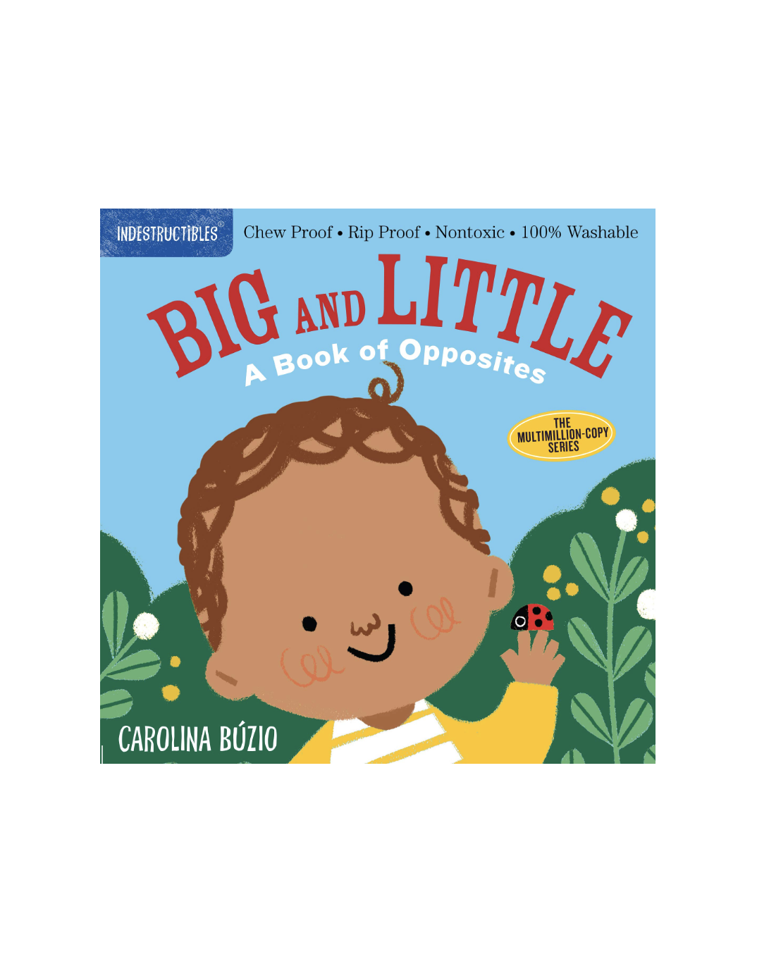Indestructible Book Big & Little - The Initial Choice