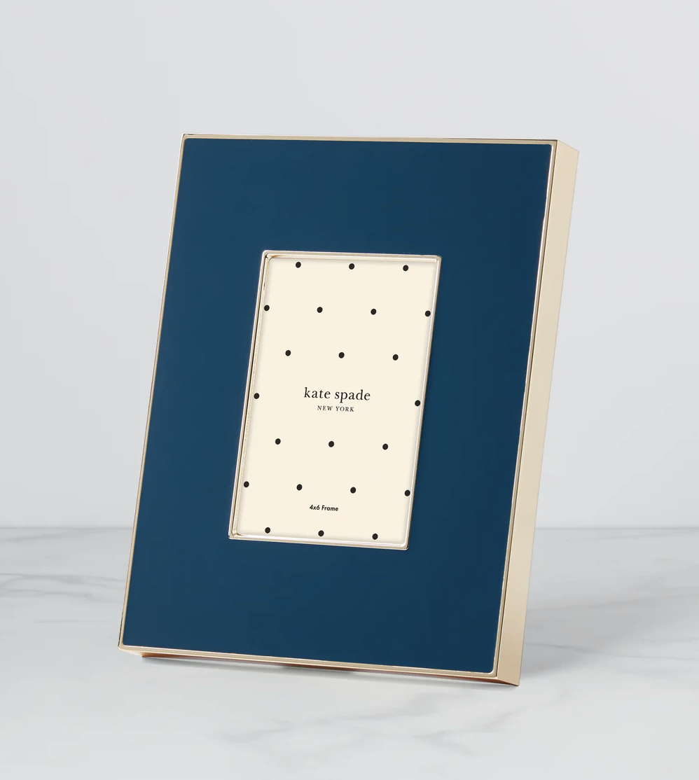 Navy Frame - The Initial Choice