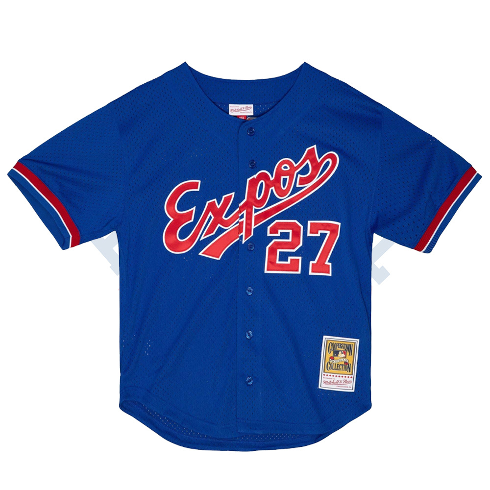 Vladimir Guerrero Montreal Expos Jersey - Baseball Town