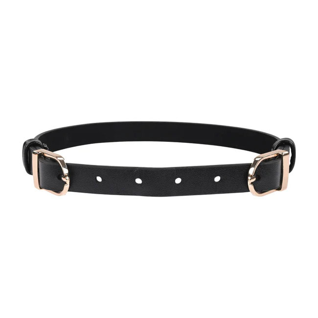 Double Buckle Day Collar - The Tool Shed: An Erotic Boutique