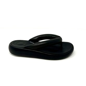 Home – Strut Footwear & Apparel, Kelowna BC - Strut Footwear & Apparel