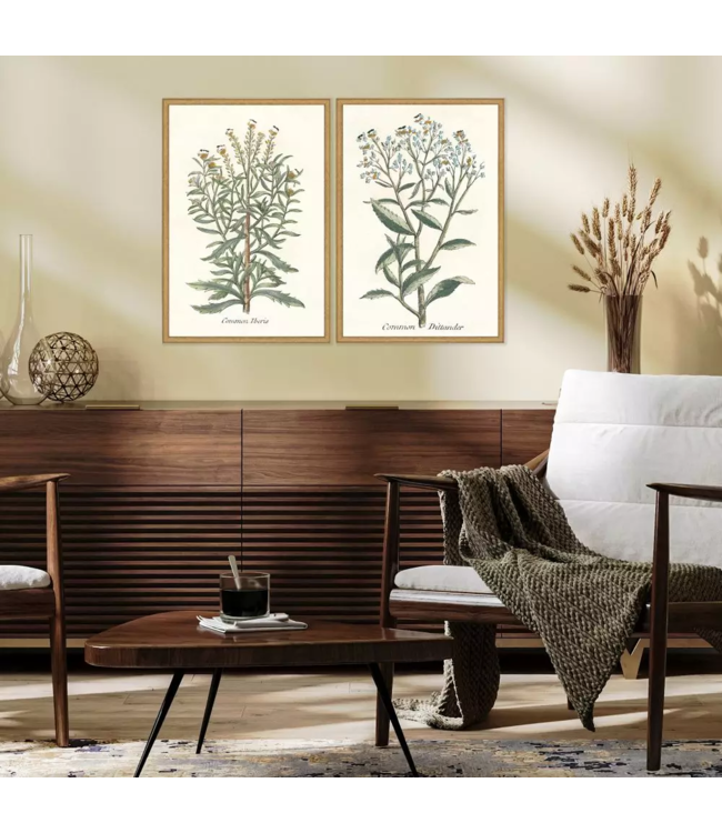 Botanical Plants I - Amber Marie and Company