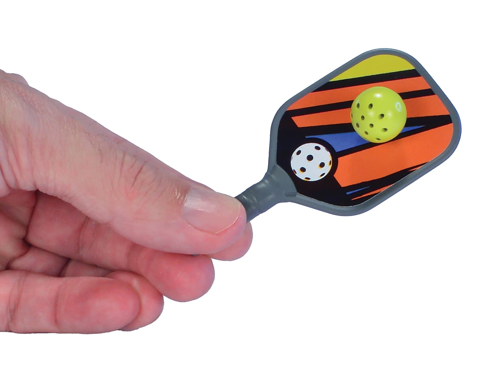World's Smallest Pickleball - Amber Marie and Company