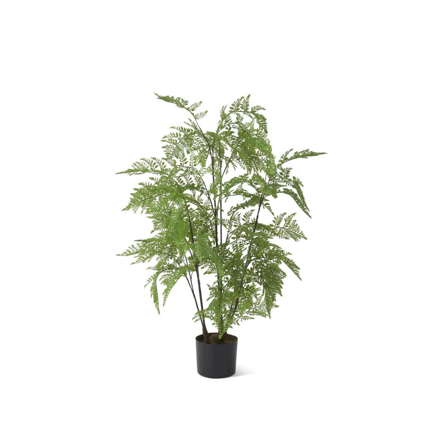 3 Foot Potted Fern Tree - Amber Marie and Company
