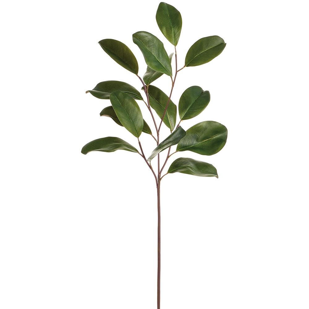 32" Magnolia Leaf Spray Green - Amber Marie and Company
