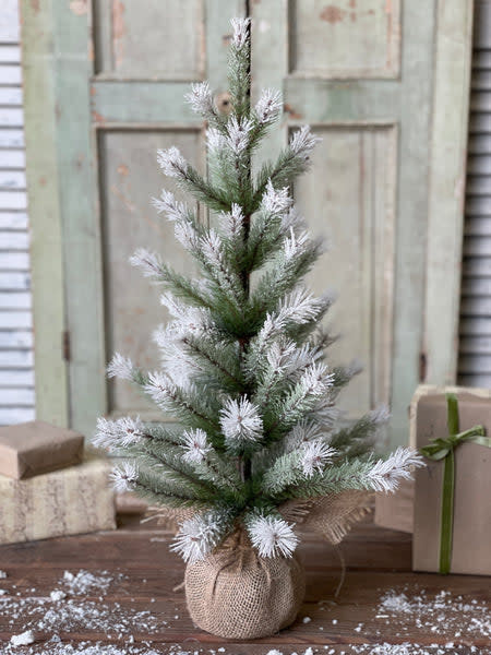 2' Frost Fade Pine Tree - Amber Marie and Company