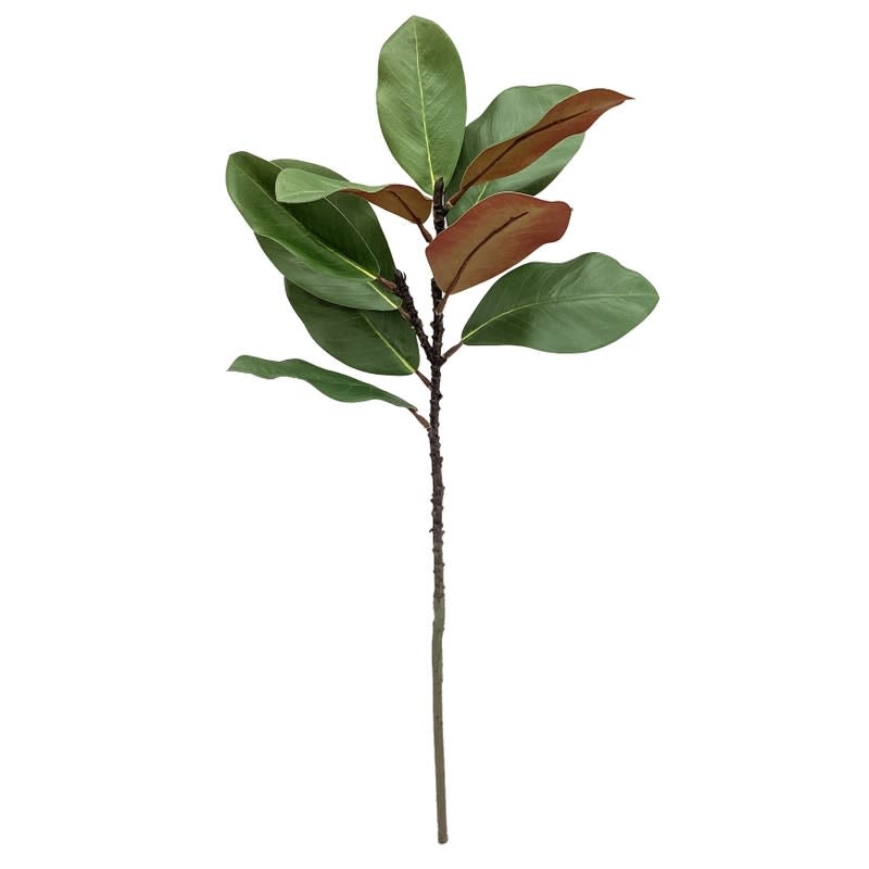 Magnolia Stem Green - Amber Marie and Company