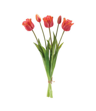 18.5"H Tulip Bundle - Amber Marie and Company