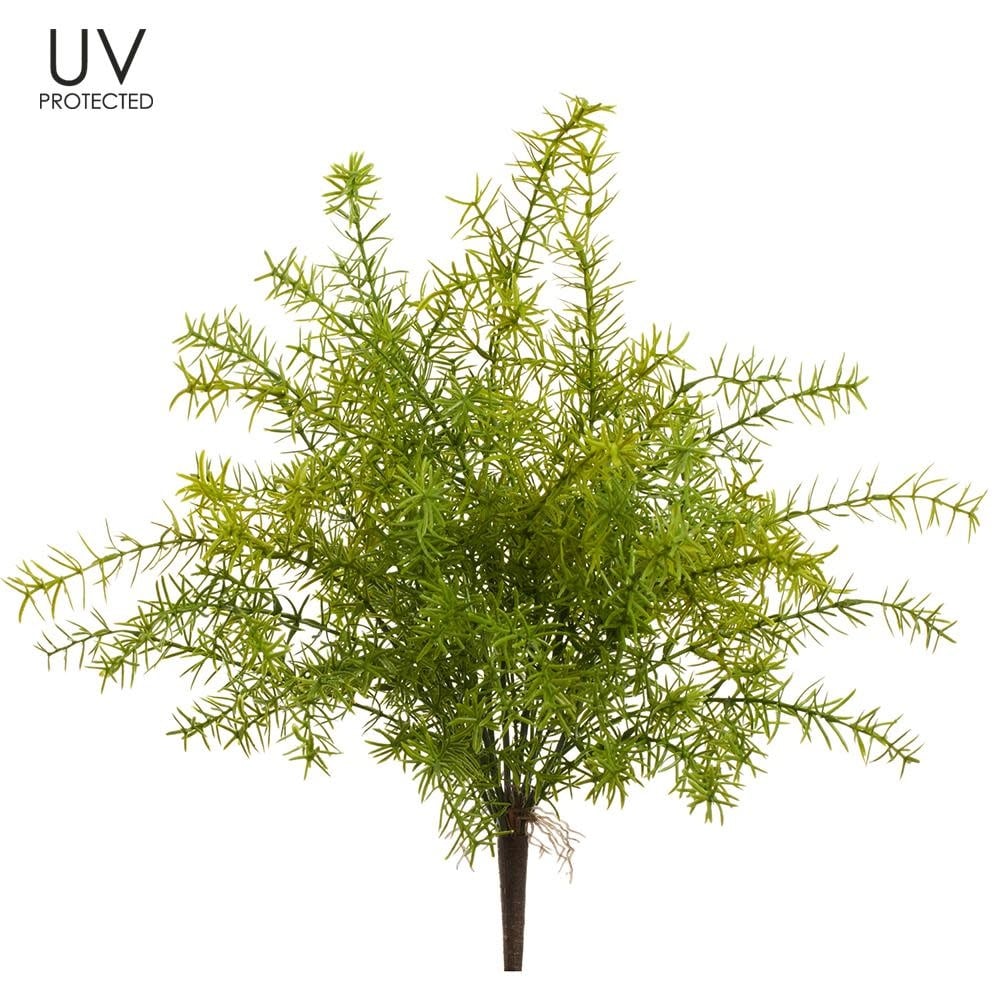 20" UV Protected Sprengeri Fern Bush Green - Amber Marie and Company