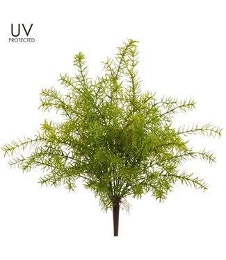 20" UV Protected Sprengeri Fern Bush Green - Amber Marie and Company