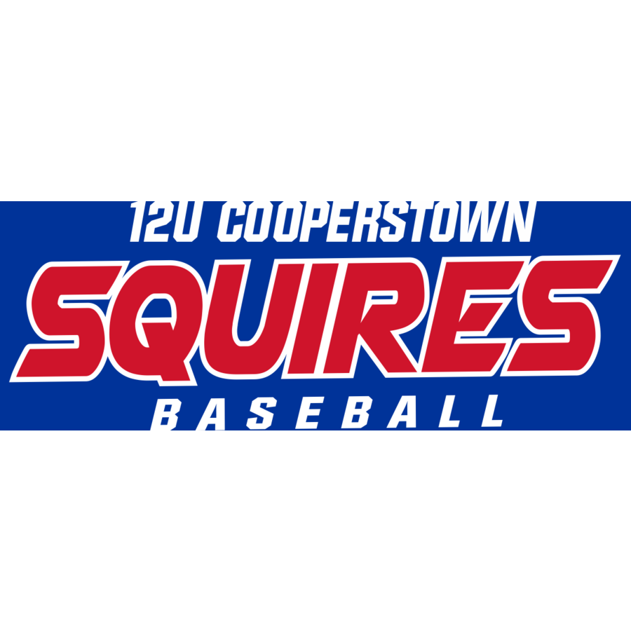 Baseball Teams - Bagger Sports