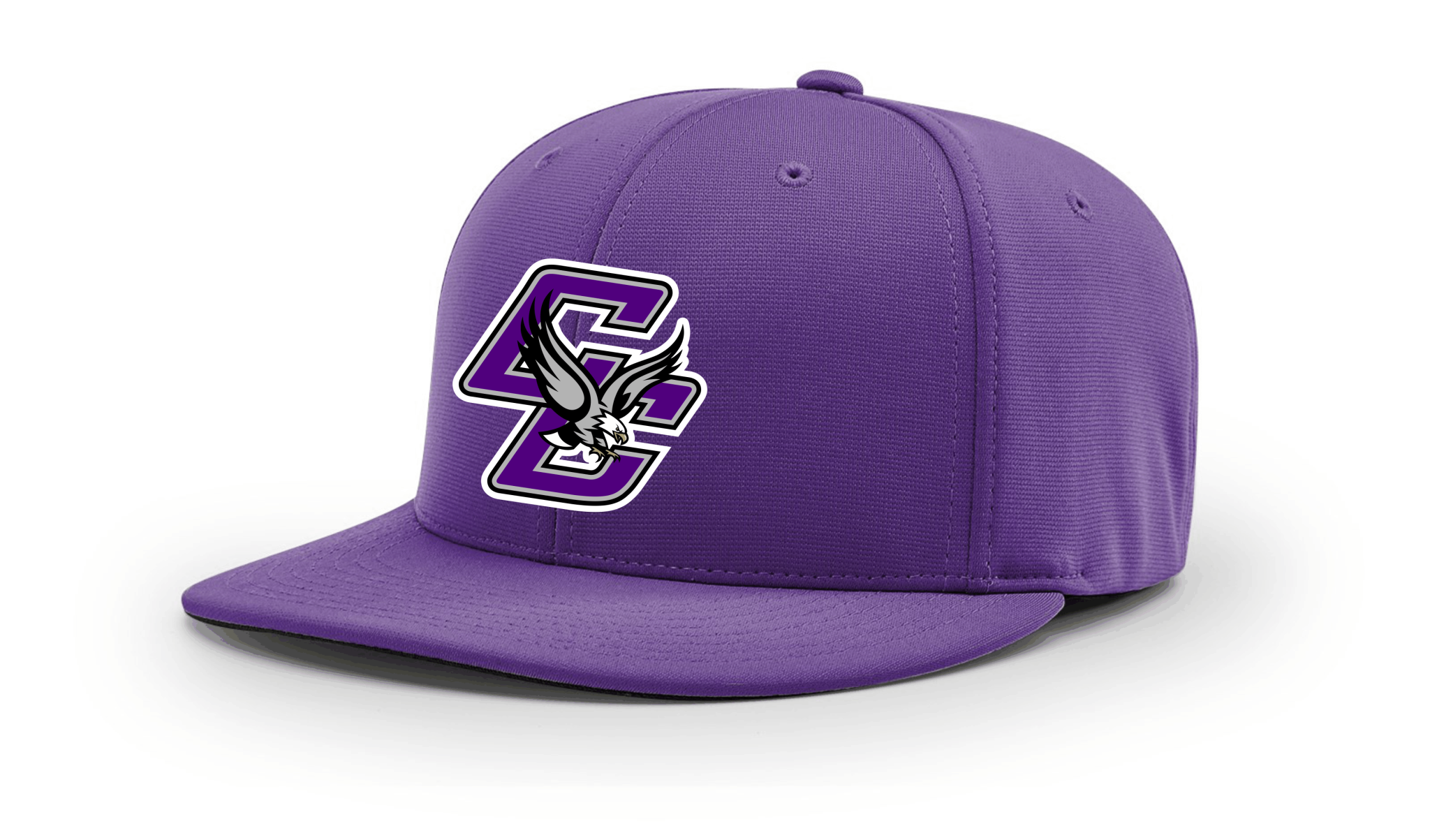 Richardson Cap Chavez Softball PTS20 Solid Purple Cap - Bagger Sports