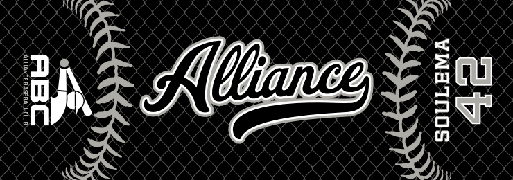 Alliance Baseball Custom Cooling Towel - Bagger Sports