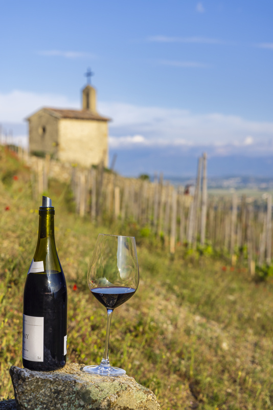 The Wine Country's Blog - The Homeland of Syrah - The Wine Country