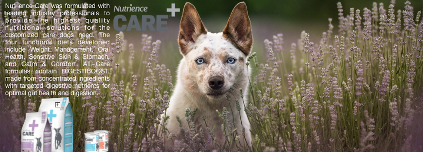 Rick's Pet Stores - Rick's Pet Stores Inc.