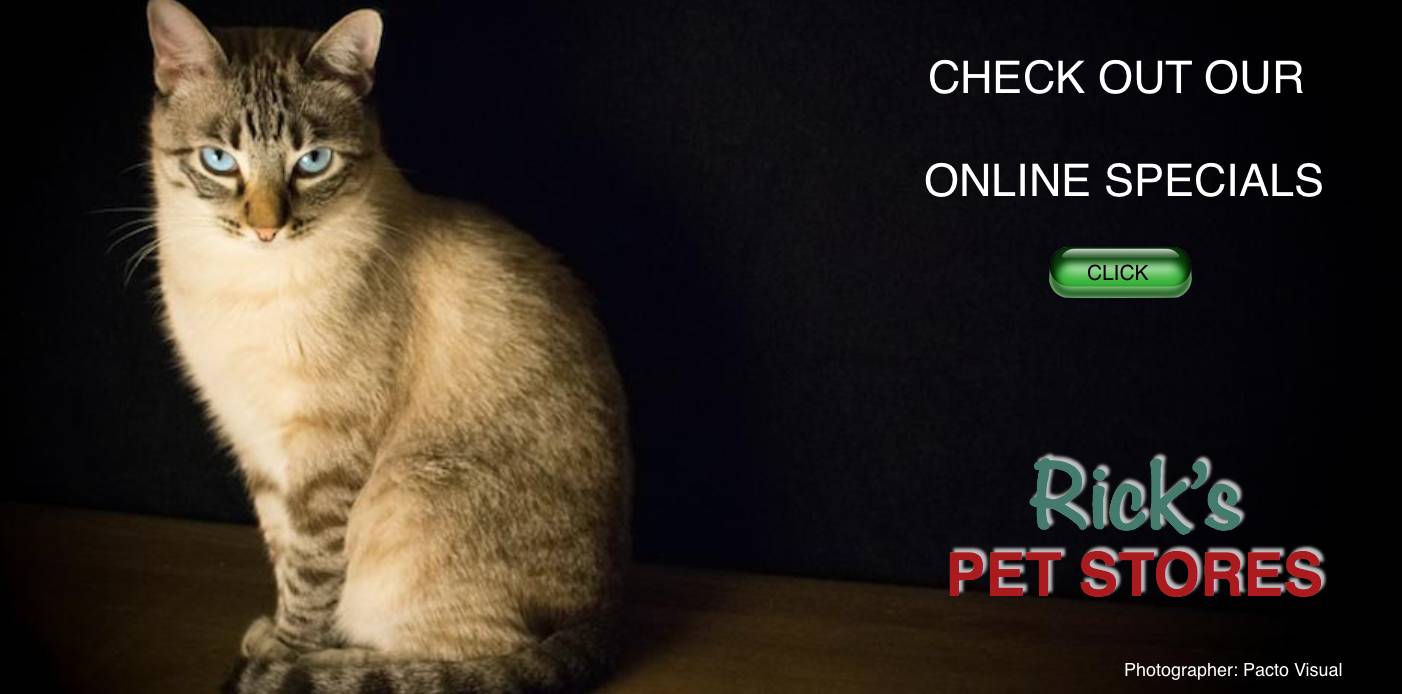 Rick's Pet Stores - Rick's Pet Stores Inc.