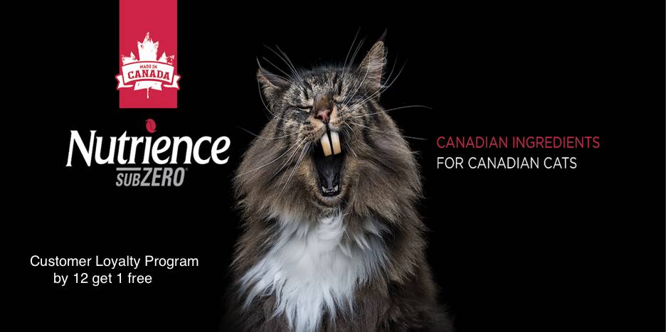 Rick's Pet Stores - Rick's Pet Stores Inc.