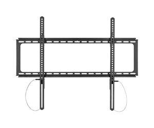 Strong Carbon Series Fixed Mounts - AV Luxury Group