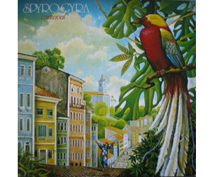 Spyro Gyro "Carnaval" Promo Vinyl - AV Luxury Group