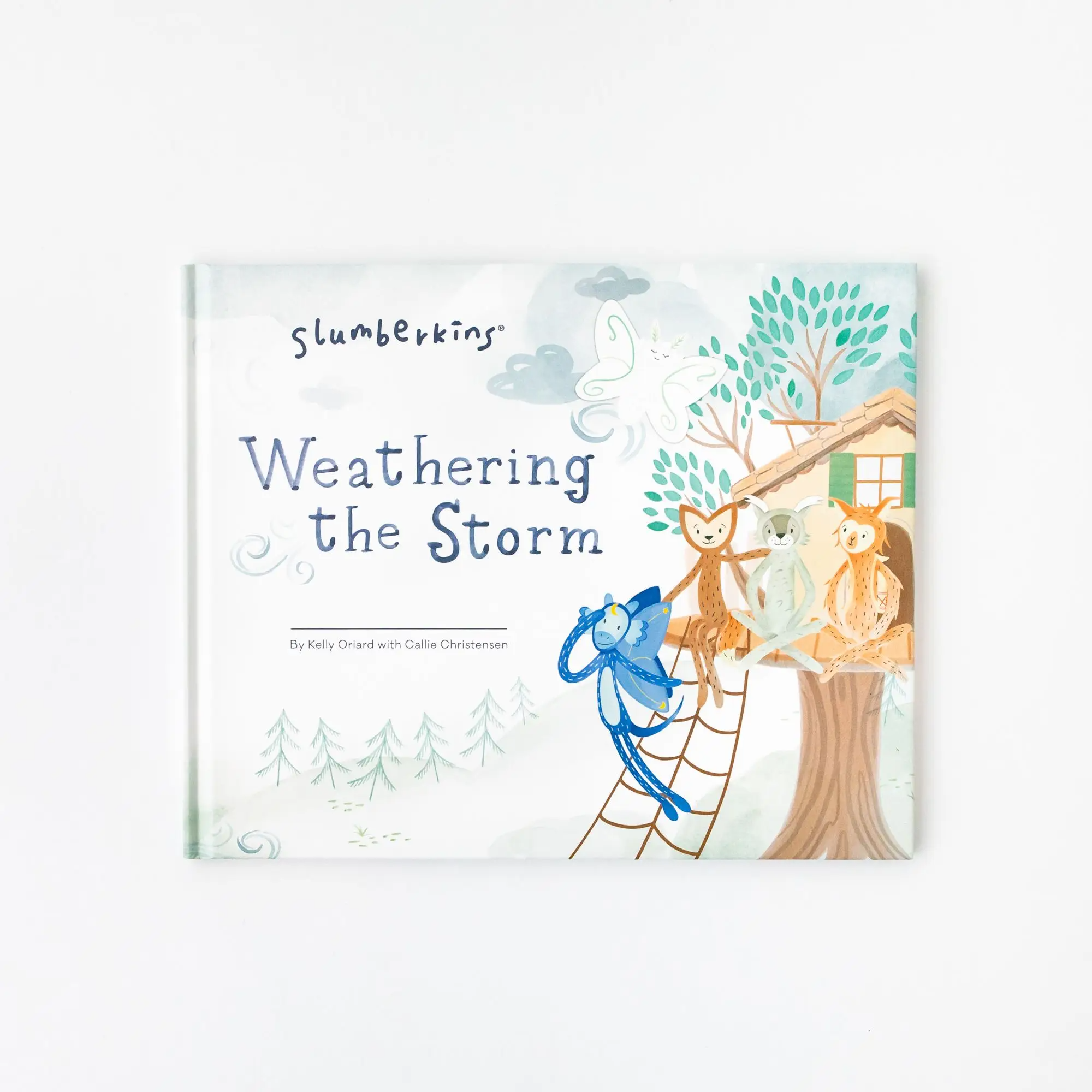 Weathering the Storm Book - HipBabyGear