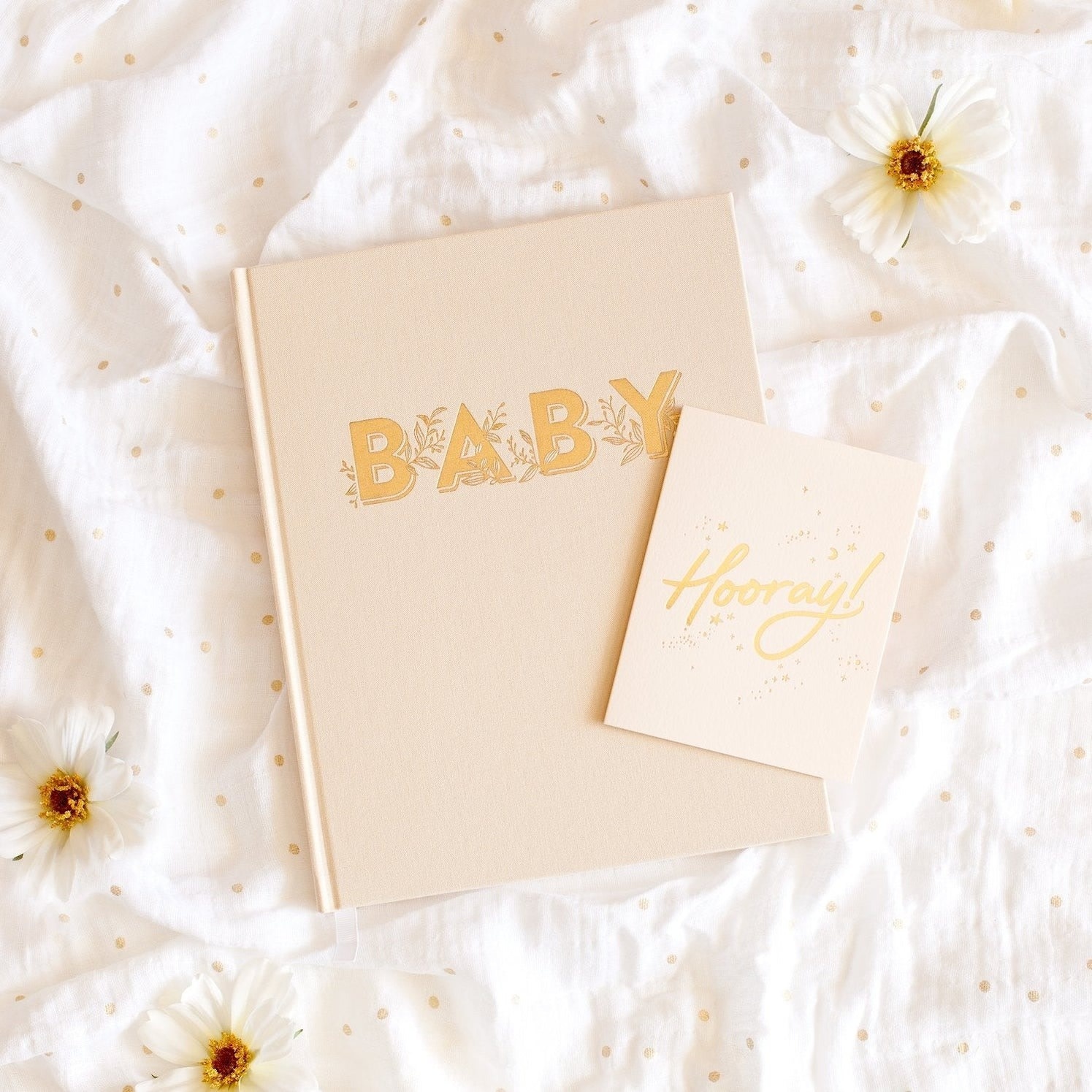 Fox Baby Book