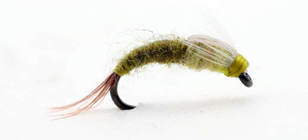 CDC CASE PMD EMERGER