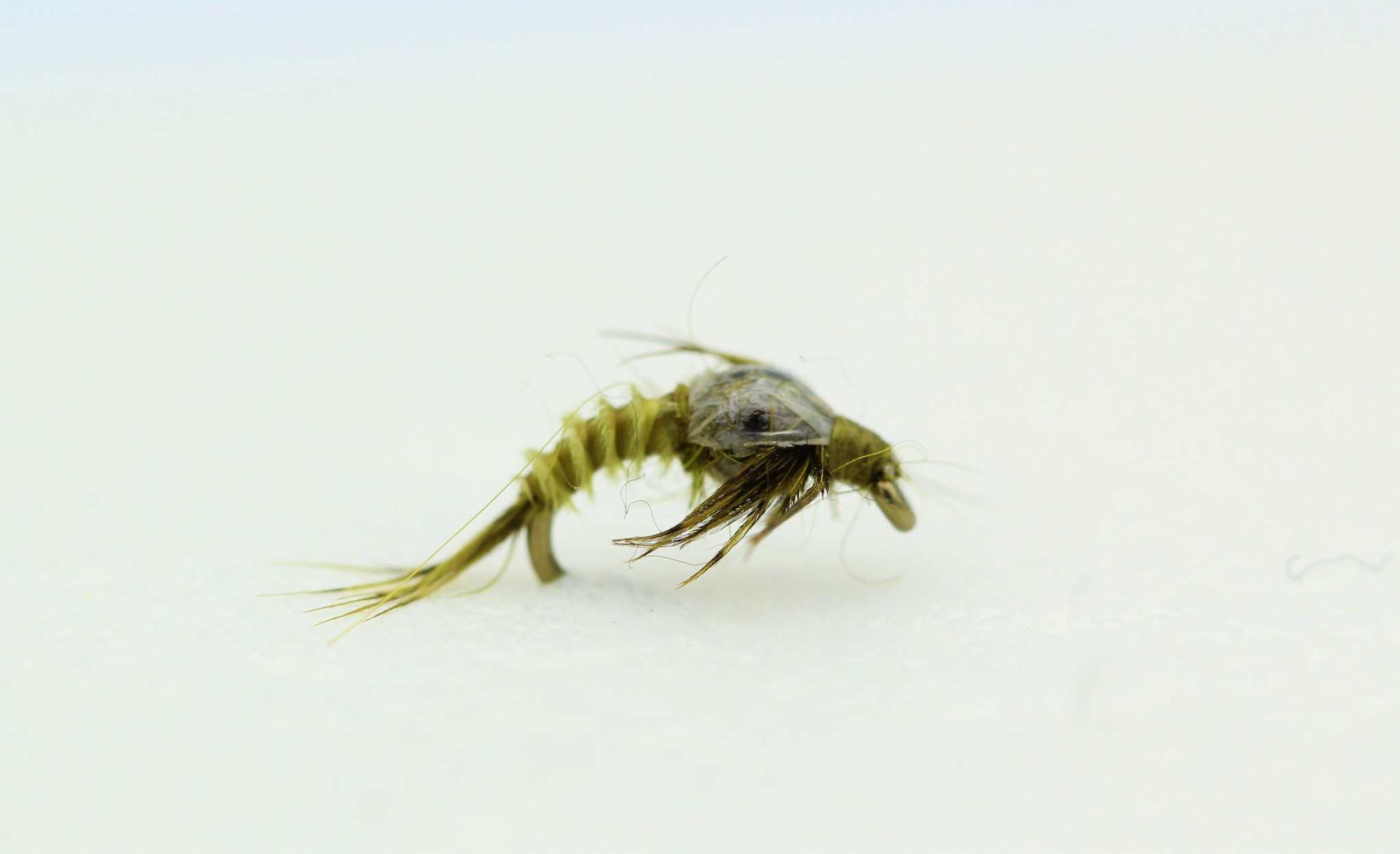 Thorax BWO Emerger - Ugly Bug Fly Shop