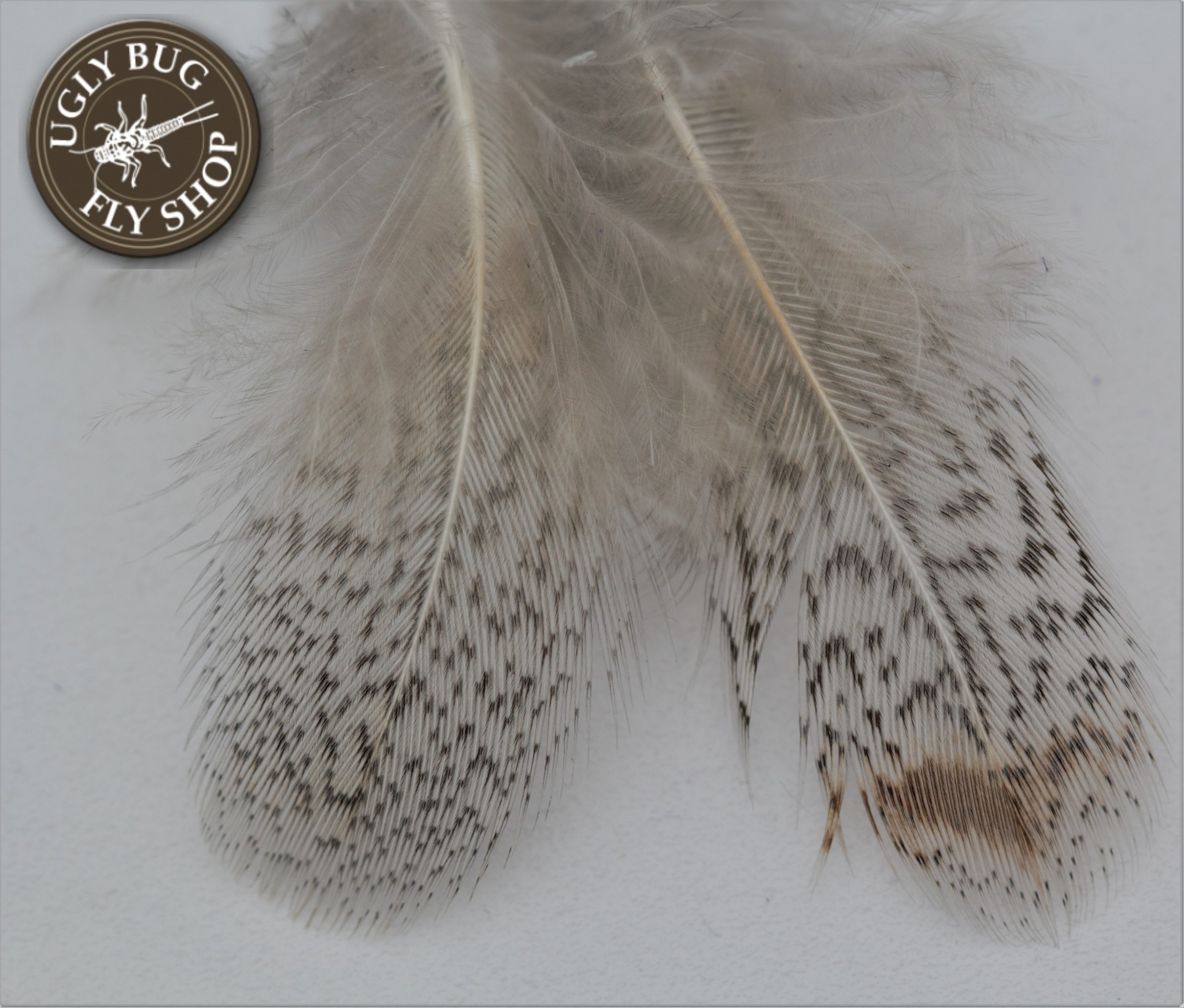 HARELINE DYED HUNGARIAN PARTRIDGE FEATHERS