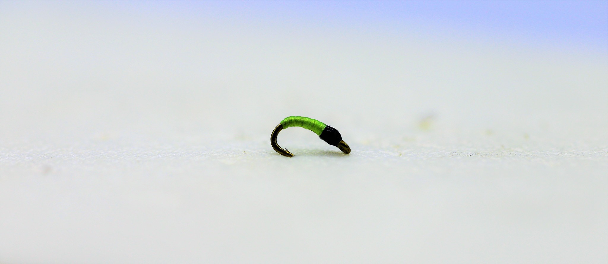 Pure Midge Larva