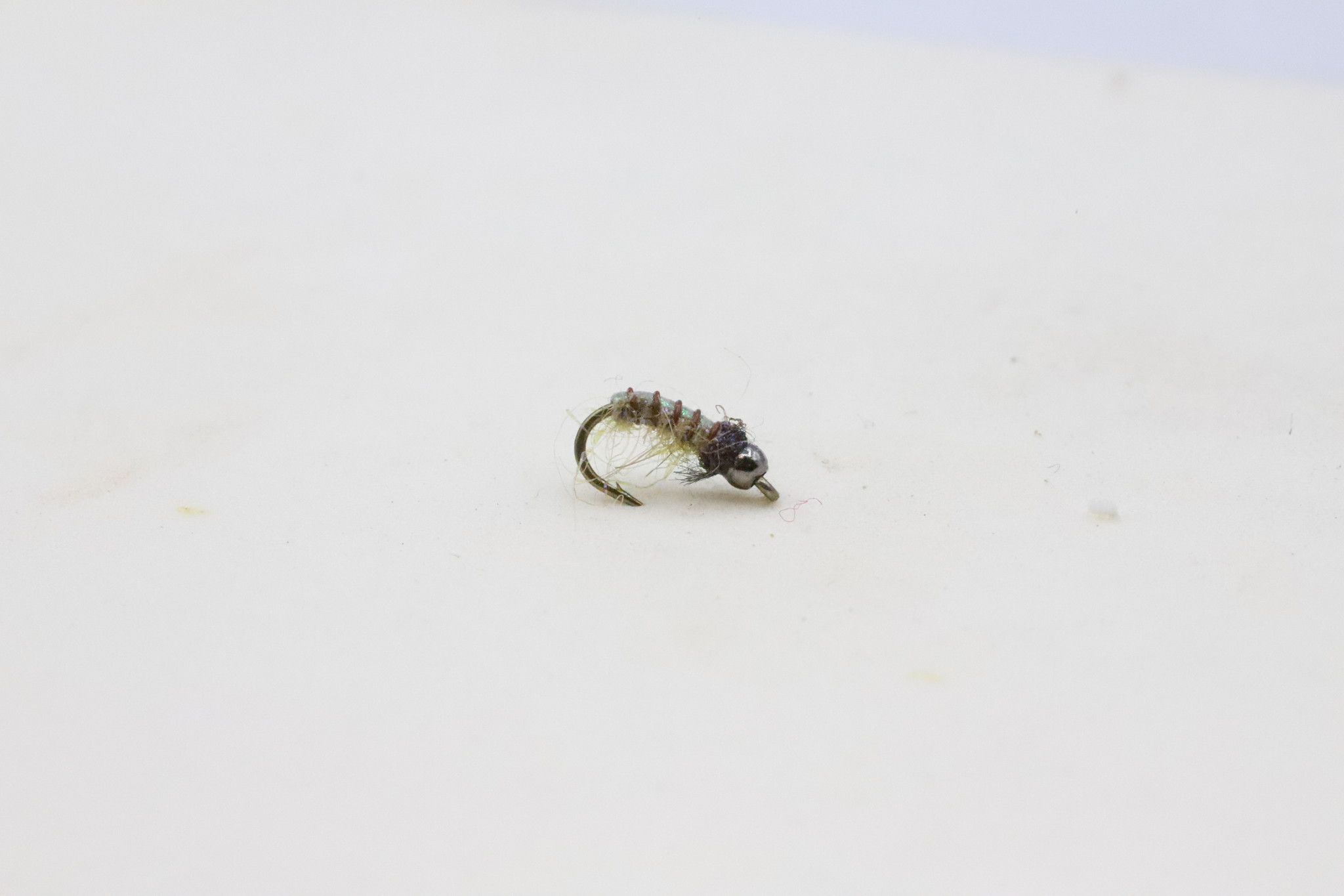 WILCOX LINT BUG #18 - Ugly Bug Fly Shop