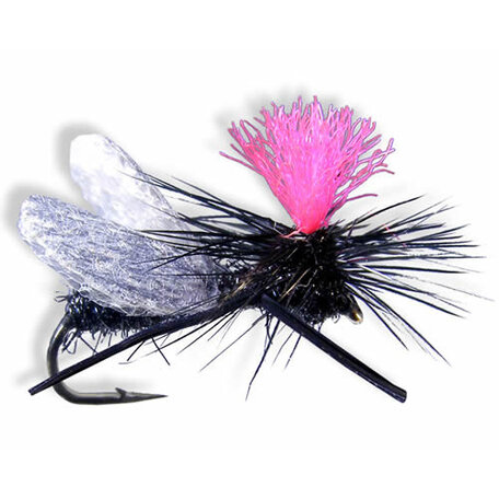 Ugly Bug Fly Shop - Ugly Bug Fly Shop